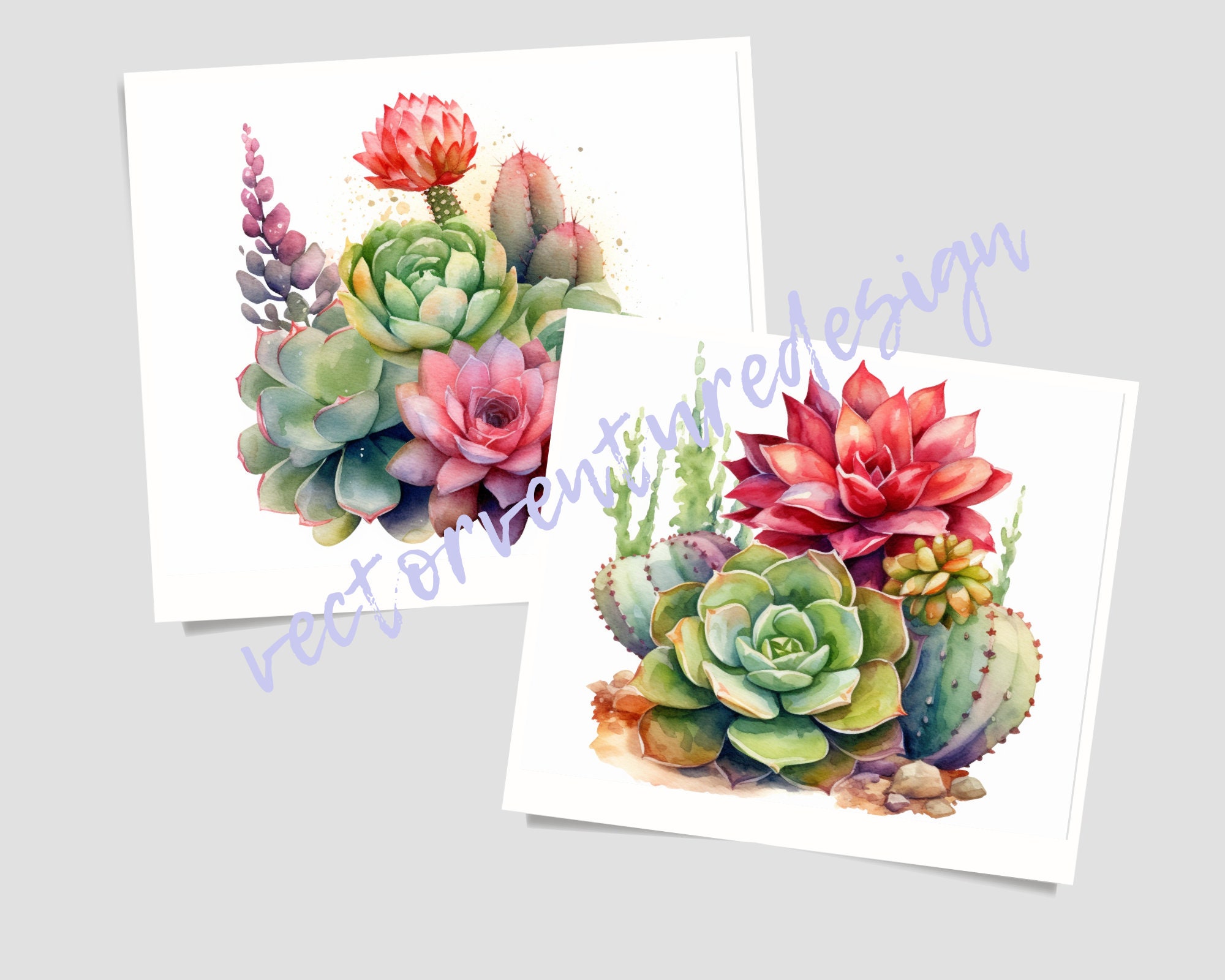 Watercolor Succulent Printable Art - Digital Design Bundle of 10 ...