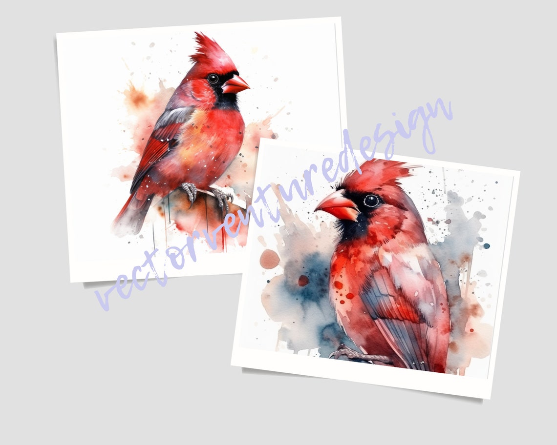 Watercolor Red Cardinal Bird Printable Art Digital Design Bundle of 10 ...