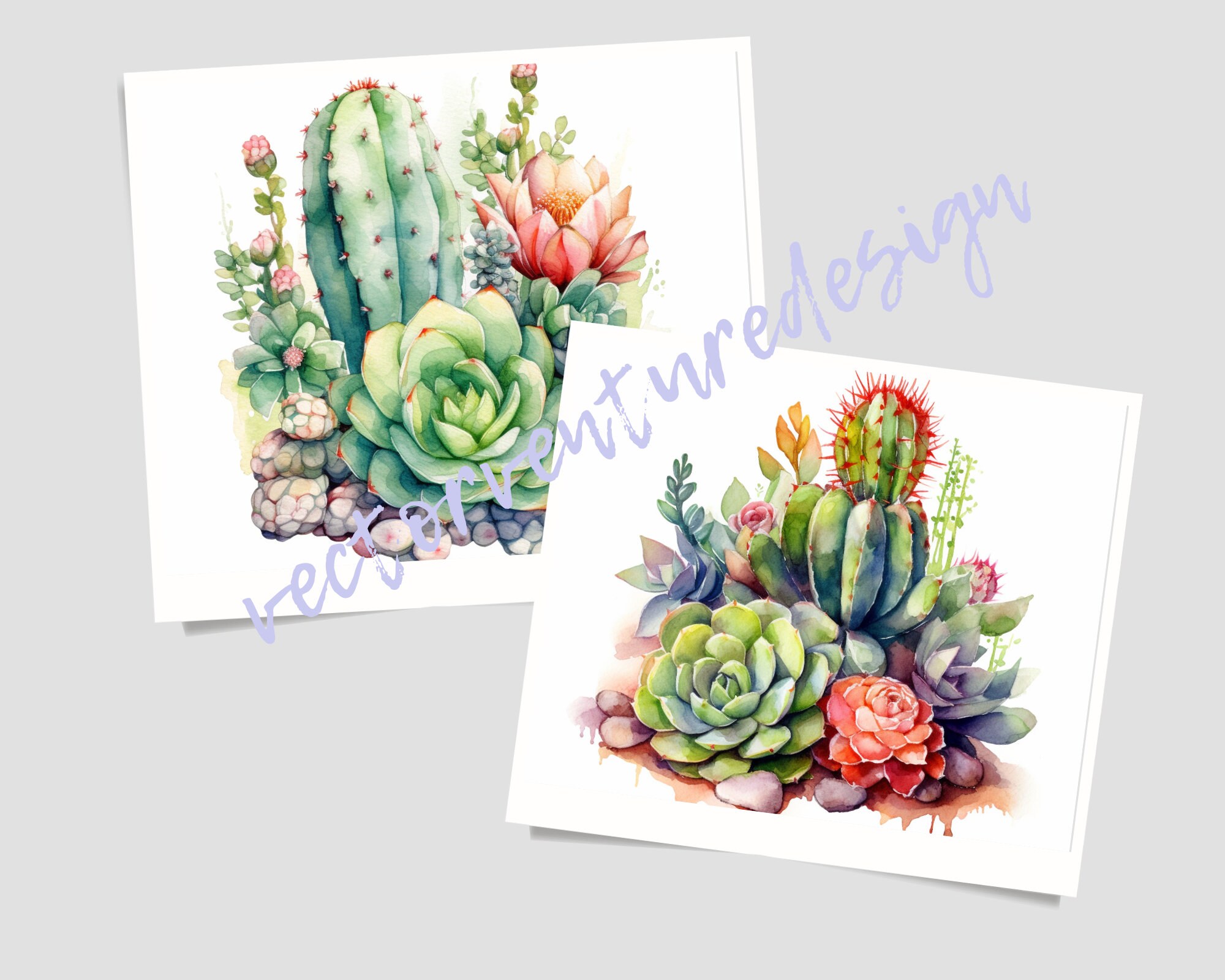 Watercolor Succulent Printable Art - Digital Design Bundle of 10 ...