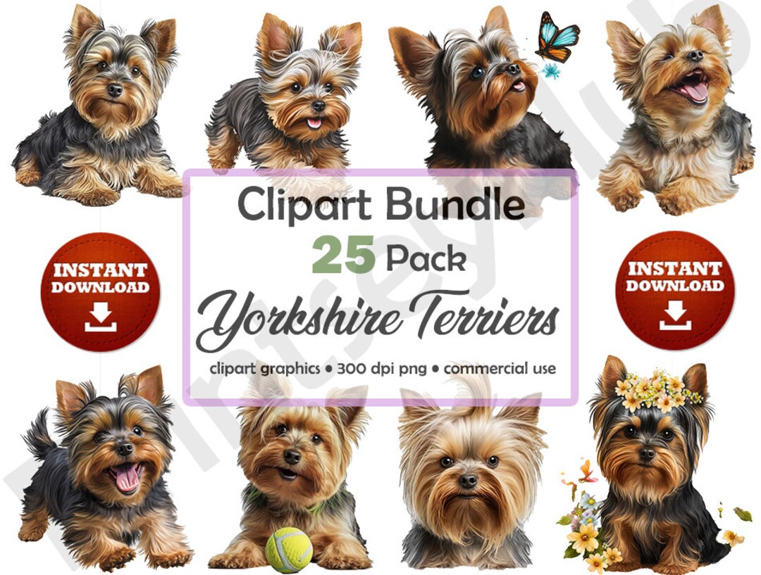 Yorkshire Terrier Clipart Bundle Cute Adorable Yorkie Puppy Images High Quality Printable Art No ...