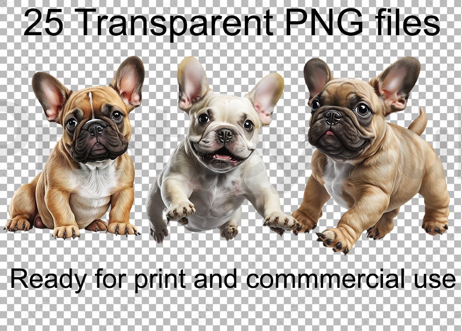 French Bulldog Clipart Bundle Cute Adorable Frenchie Puppy Images High ...