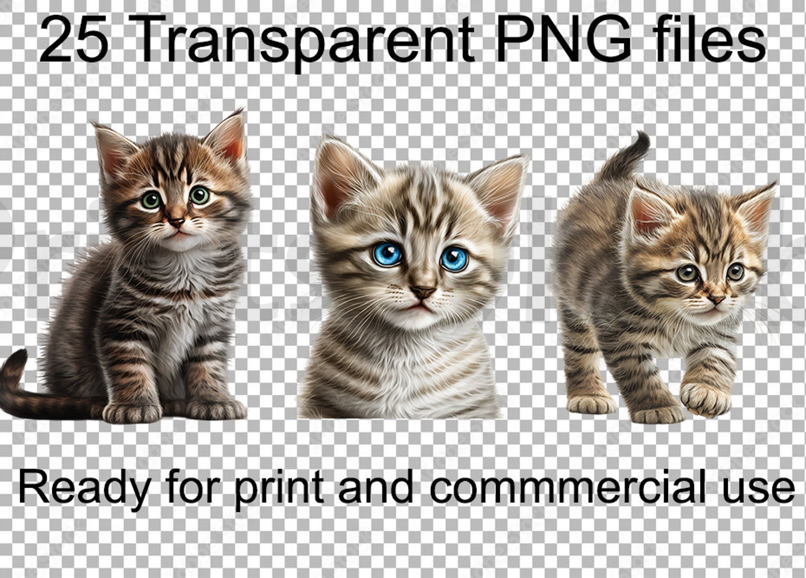 Tabby Kitten Clipart Bundle Cute Adorable Baby Cat Images High Quality ...
