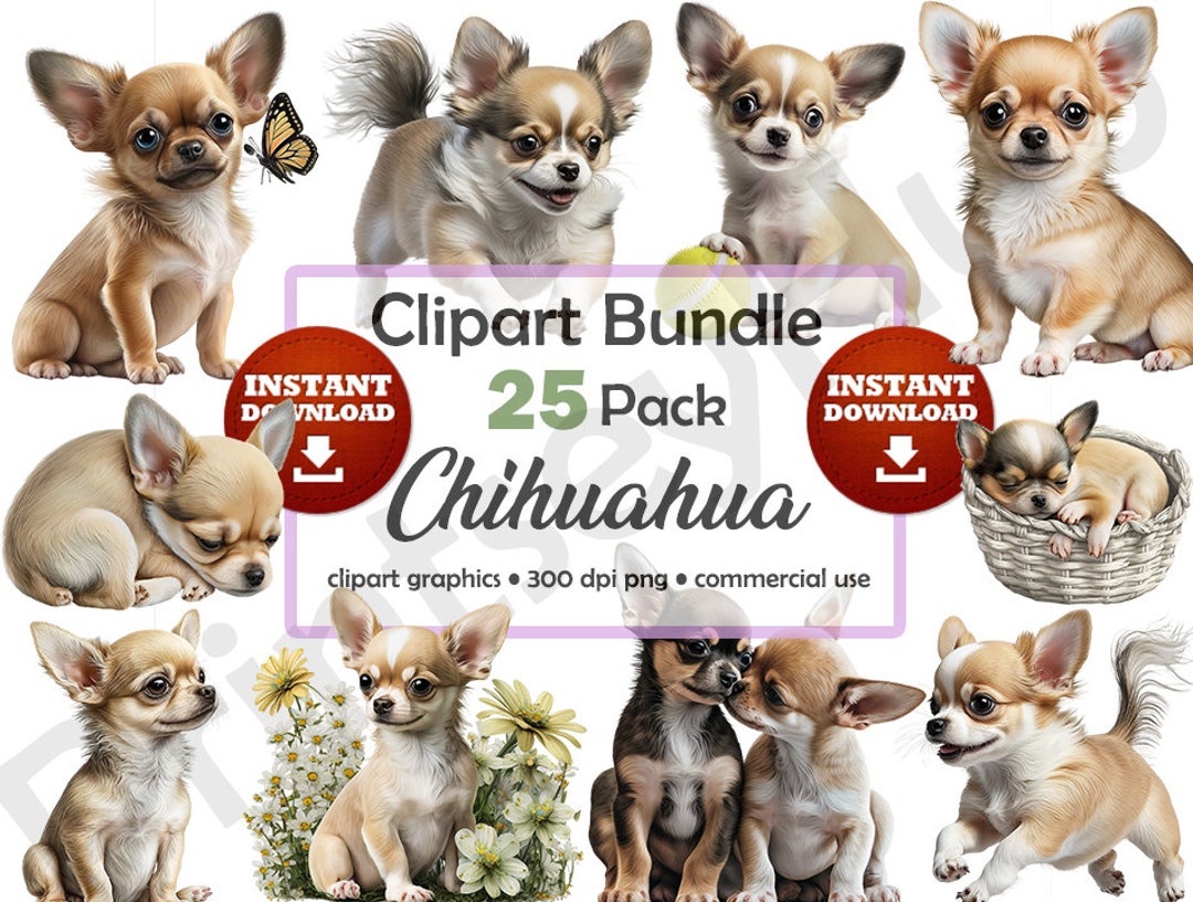 Chihuahua Puppy Clipart Bundle Cute Adorable Puppies Images Graphics ...