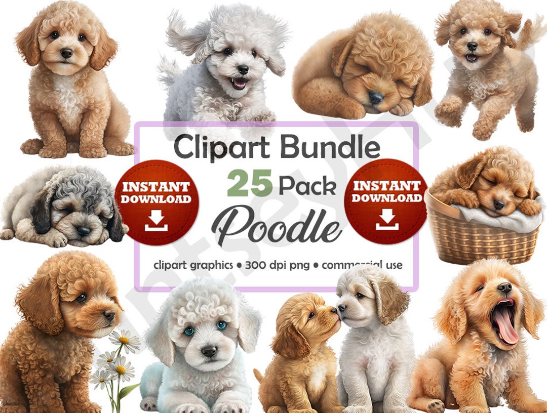 Poodle Puppy Clipart Bundle Cute Adorable Puppies Images Graphics High ...