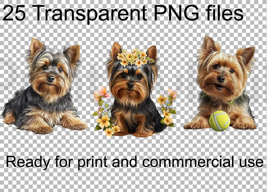 Yorkshire Terrier Clipart Bundle Cute Adorable Yorkie Puppy Images High Quality Printable Art No ...