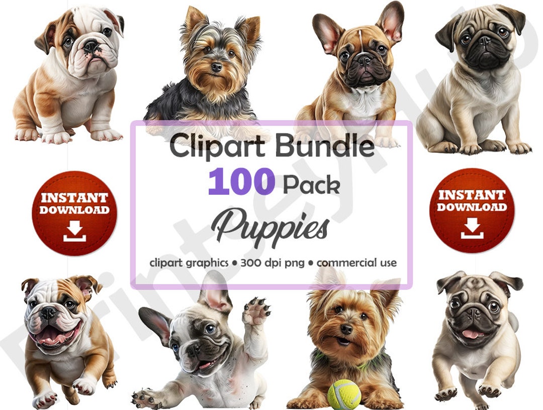 Puppies Clipart Bundle Cute Pug Frenchie Yorkie English Bulldog ...