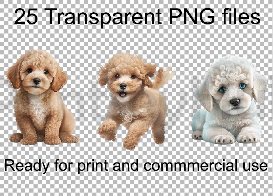 Poodle Puppy Clipart Bundle Cute Adorable Puppies Images Graphics High ...