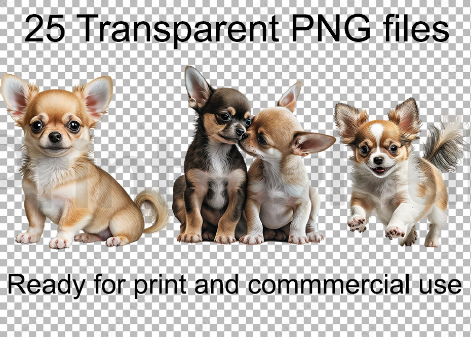 Chihuahua Puppy Clipart Bundle Cute Adorable Puppies Images Graphics ...