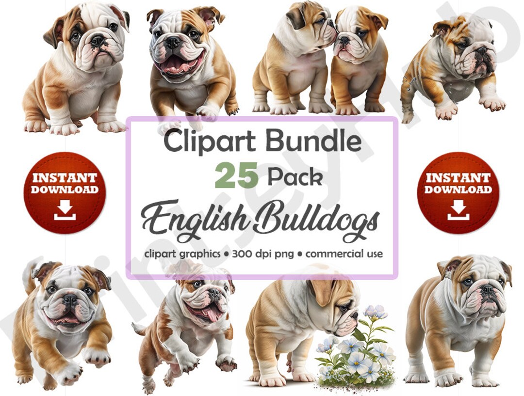 Cute Bulldogs Clipart