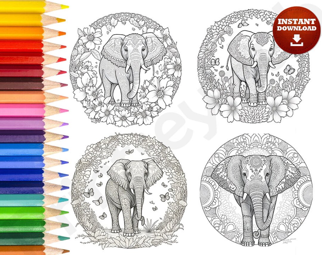 4 Pack Elephant Mandala Coloring Page | Stress & Anxiety Relieving ...
