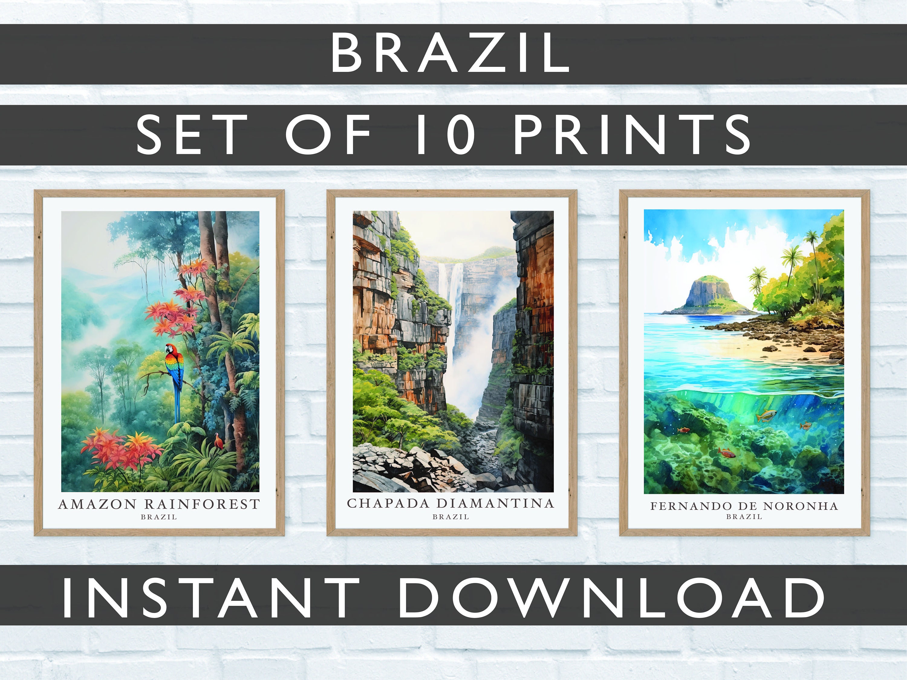 Brazil Art, Set of 10 Digital Prints, Nature Illustration, Home Decor ...