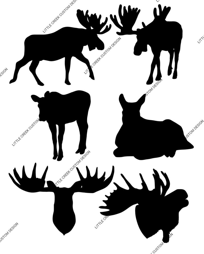 Moose SVG PNG, Cow Svg Png, Bull Svg Png, Wildlife Svg Png, Animal Svg ...