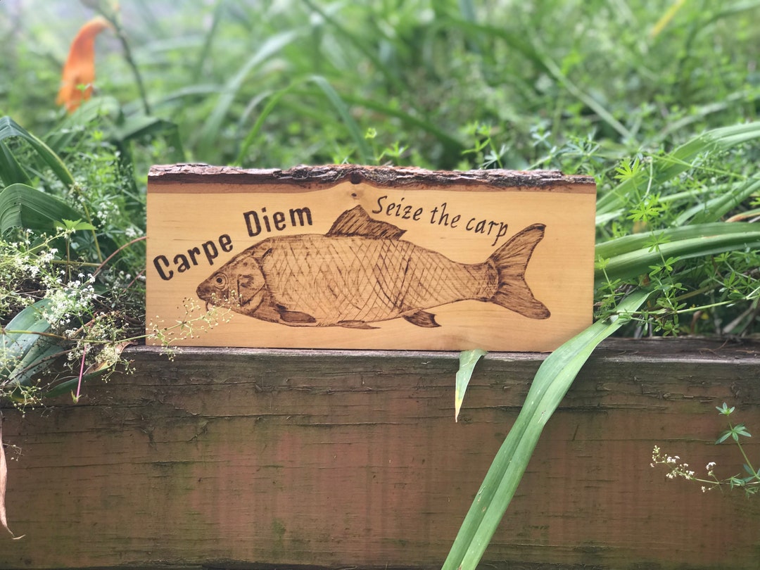 Hand-burned Pyrography Wooden Sign Carpe Diem - Seize the Carp - Funny ...