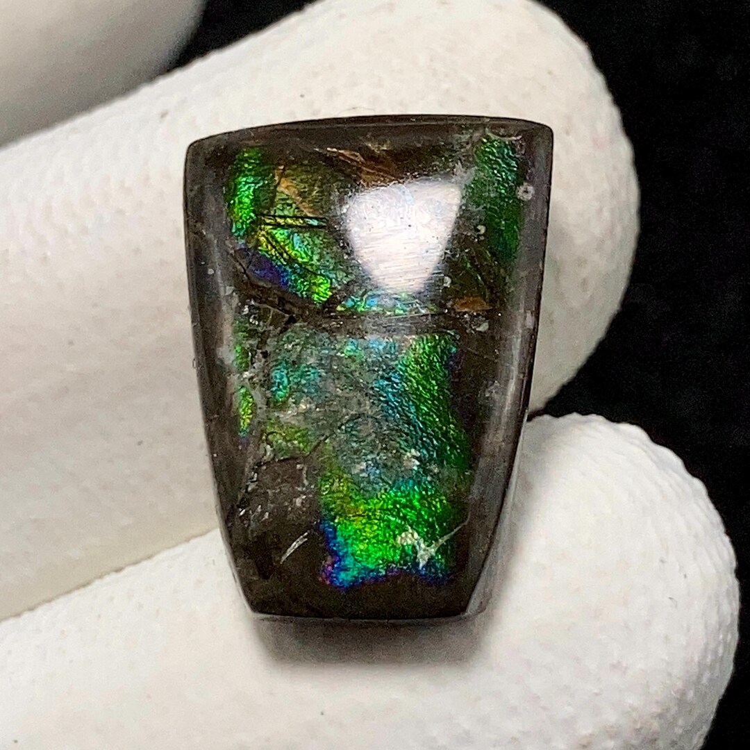 Multi Fiery Ammolite , Freeform Cabochon, 18x13x4 MM, 7 CTS, Beautiful ...