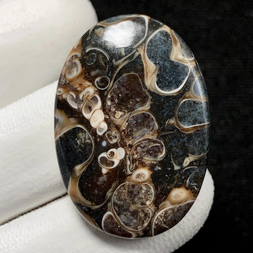 Turritella Agate Aka Turritella Fossil, Oval Cabochon, 35x25x6 MM, 44 ...