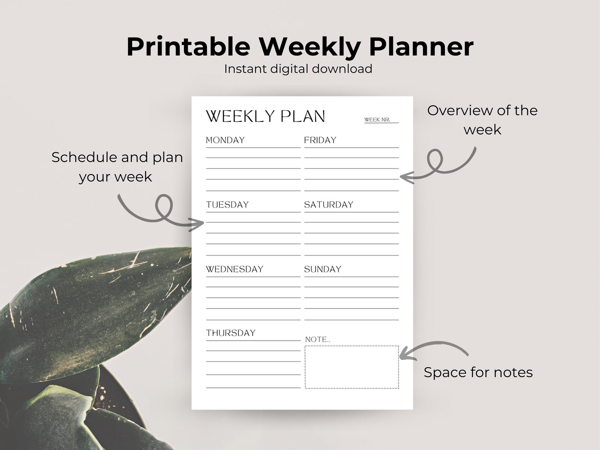 Simple Monthly Planner Printable Minimal Monthly Schedule - Etsy