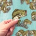 Largemouth Bass Sticker Bass Fish Sticker for Water Bottle - Etsy