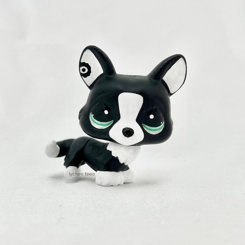 Lps Custom - Etsy