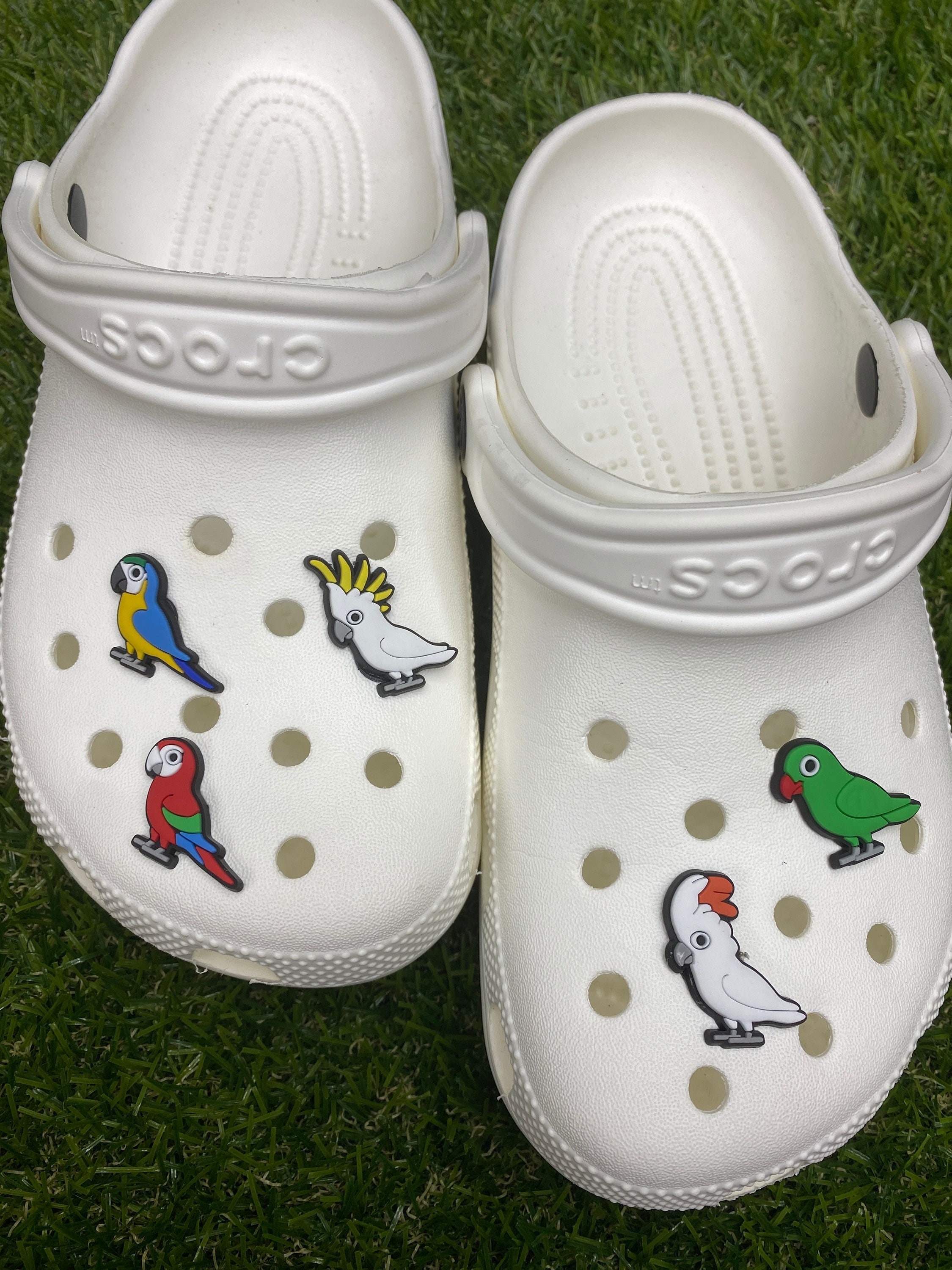 Parrot Bird Croc Charm BUNDLE - Etsy