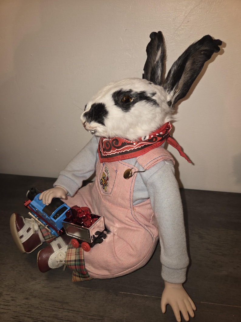 Tommy Bunny Taxidermy Doll - Etsy