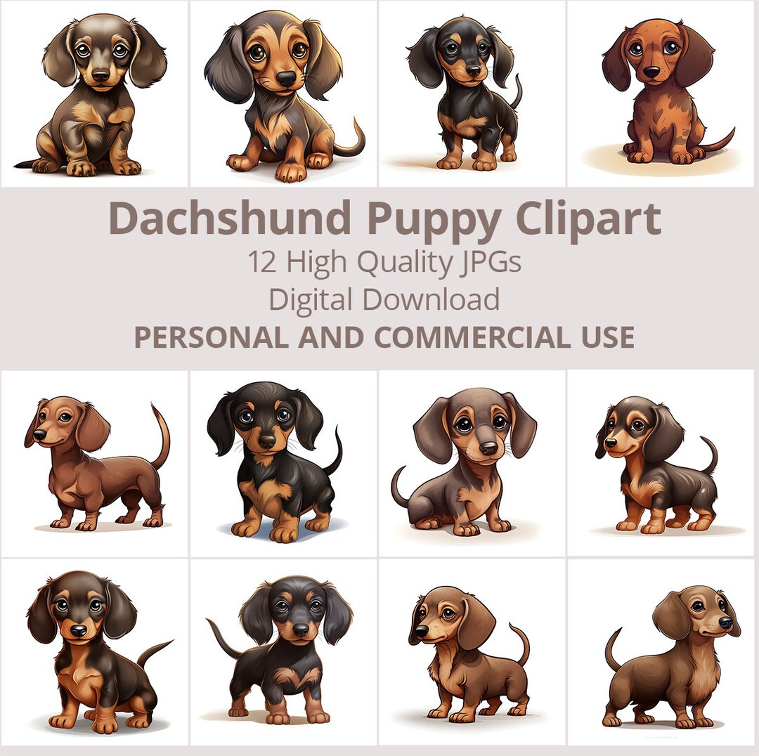 Dachshund Puppy Clipart 12 High Quality Jpgs Digital Download ...