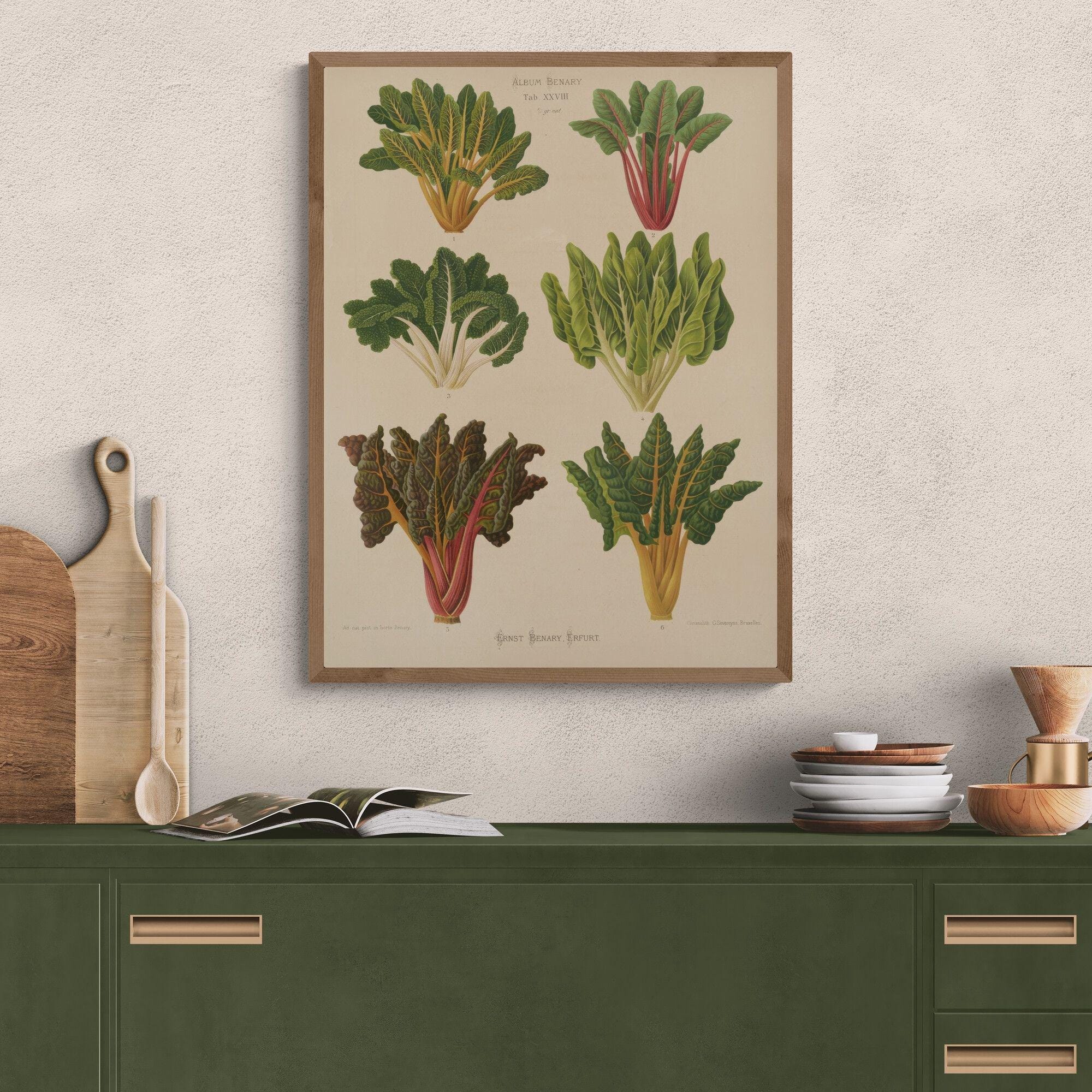 Vintage Botanical Chard Print – Digital Download From Album Benary 1876 ...
