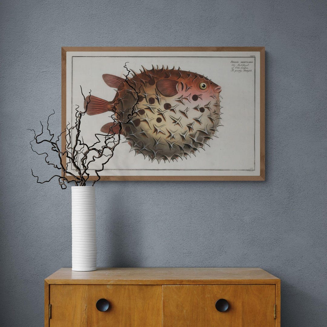 Diodon Orbicularis Art Print - Quirky Pufferfish Artwork for Coastal ...