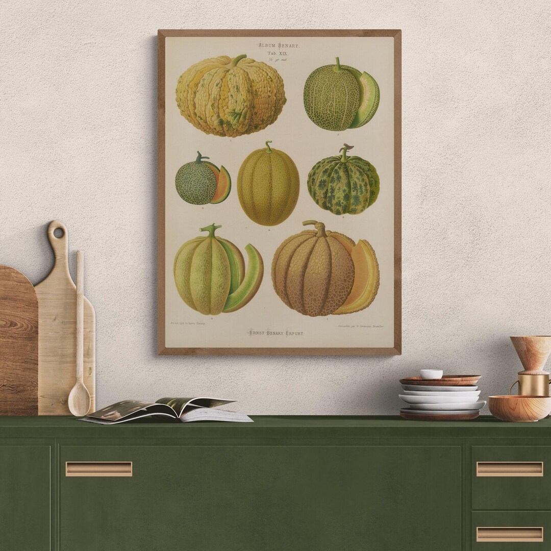 Vintage Melon Print – Botanical Fruit Wall Art From Album Benary 1876 ...