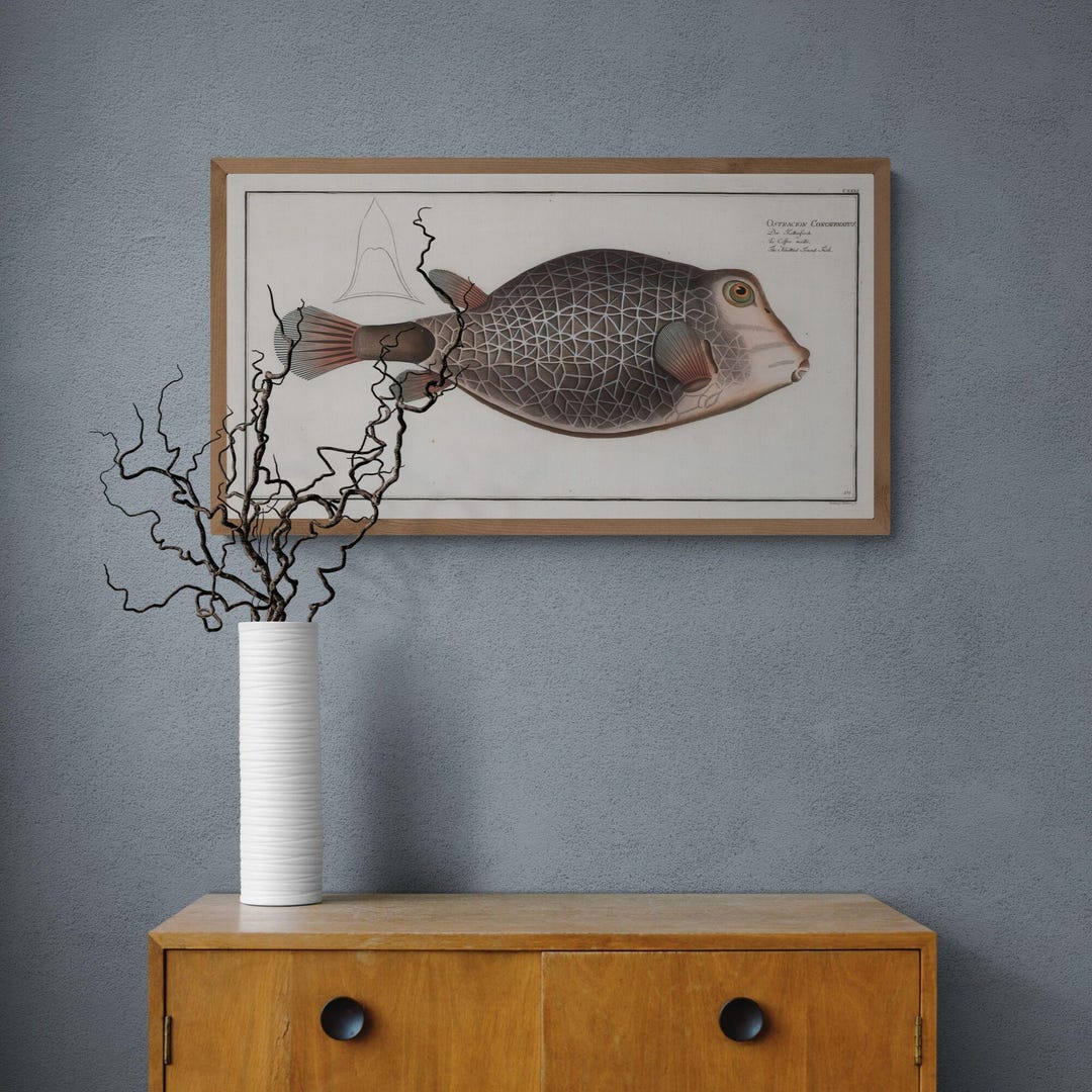 Ostracion Concatenatus Art Print - Beautiful Boxfish Artwork for Tropical and Underwater-themed ...