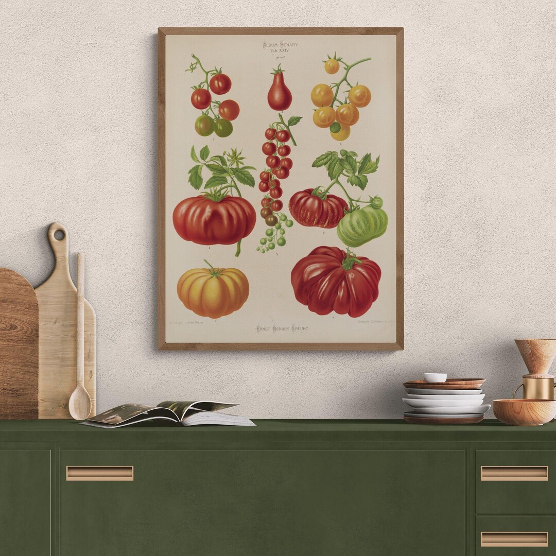 Vintage Botanical Tomato Print – Digital Download From Album Benary ...