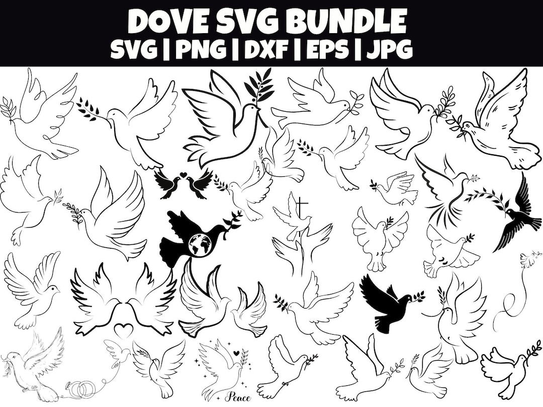 Dove SVG Bundle, Dove PNG Bundle, Dove Clipart, Pigeon SVG Cut Files ...