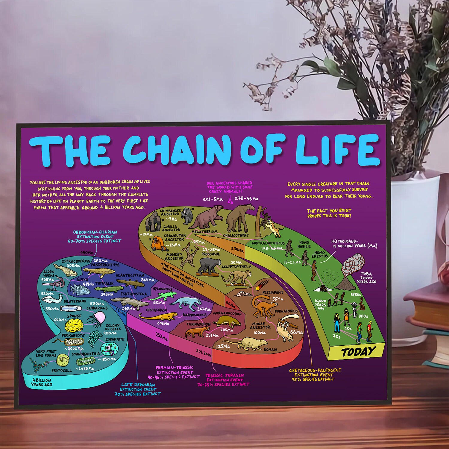 The Chain of Life Poster Cycle of Life Biology Poster - Etsy