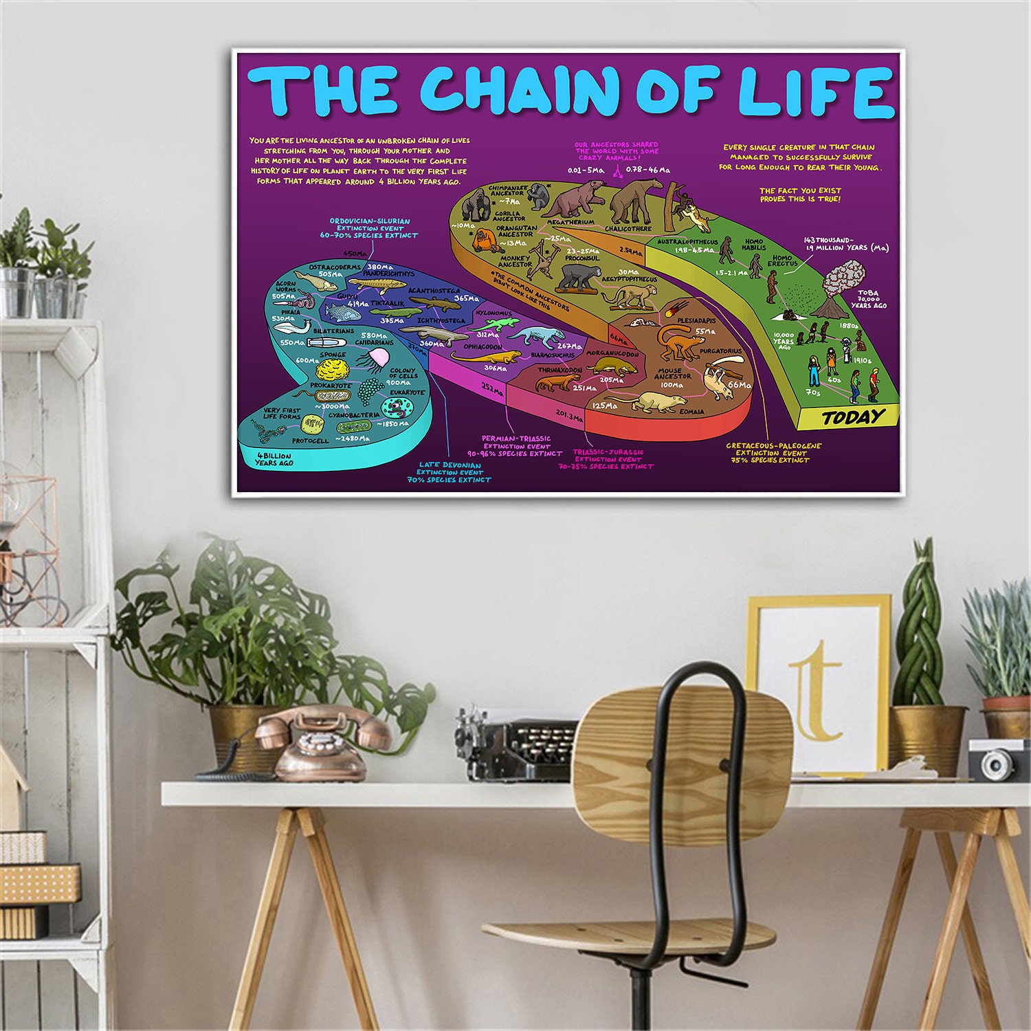 The Chain of Life Poster Cycle of Life Biology Poster - Etsy
