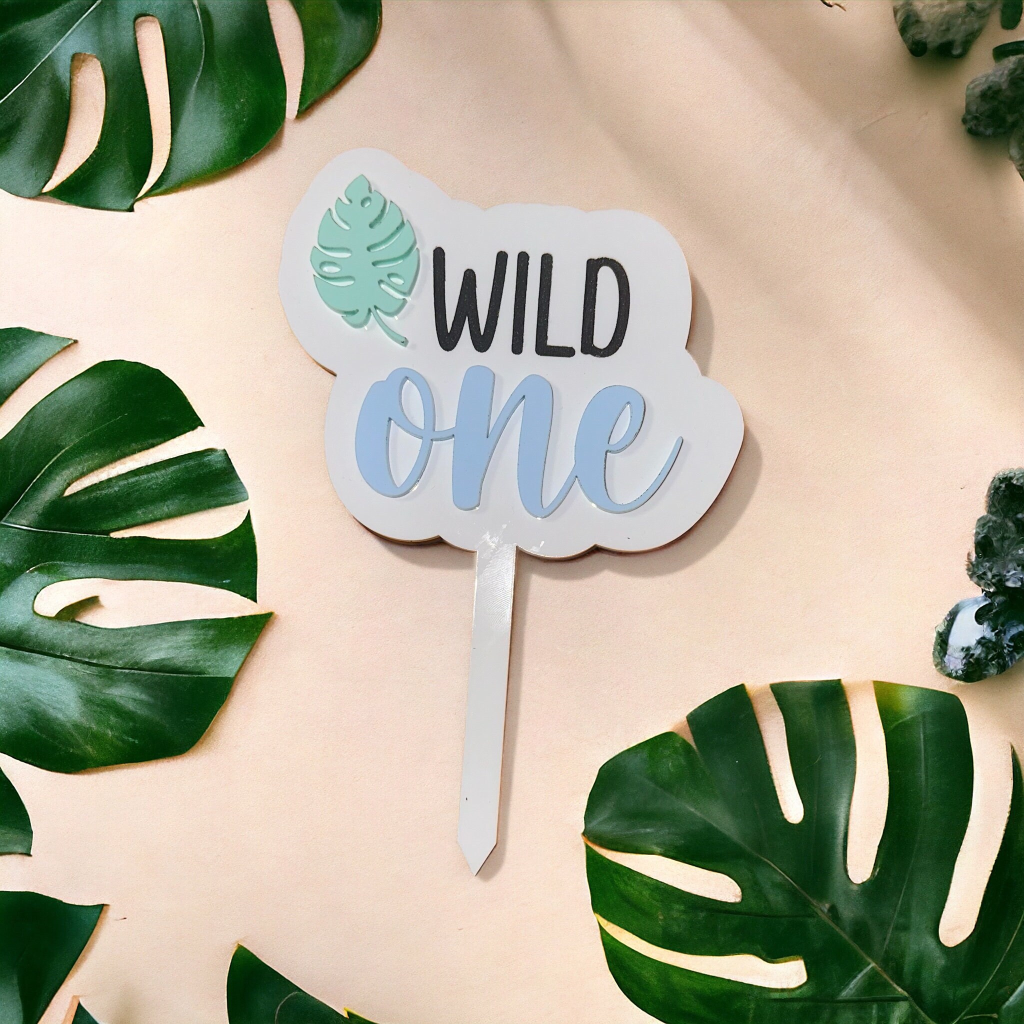 WILD ONE Cake Topper, Cake Topper, First Birthday Cake Topper, Acrylic ...