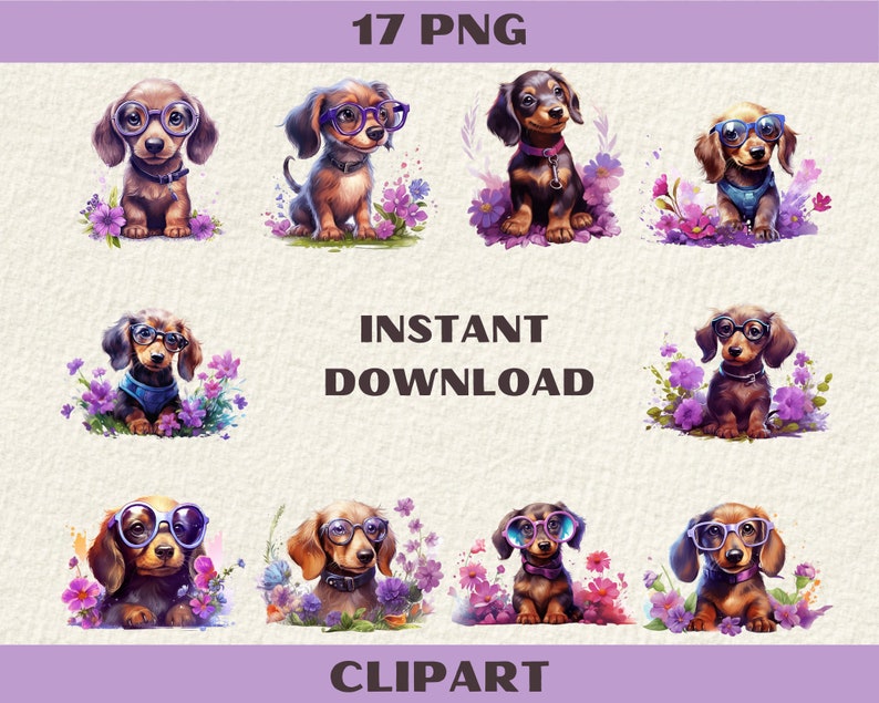 17 PNG Dachshund Puppy Clipart, Cute Sausage Dogs With Sunglasses ...
