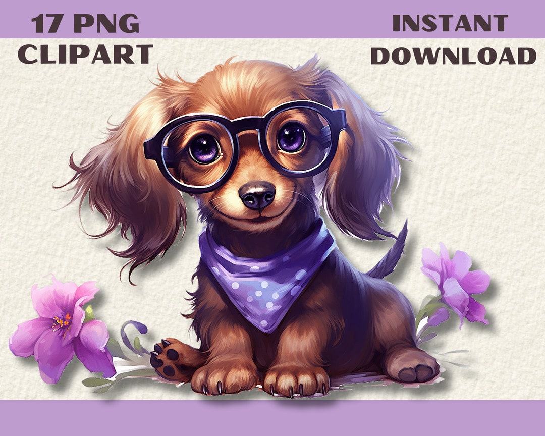 17 PNG Dachshund Puppy Clipart, Cute Sausage Dogs With Sunglasses ...