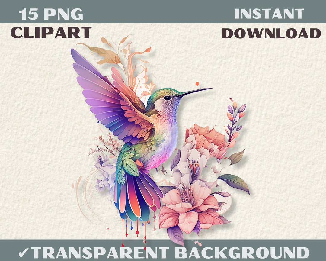 15 PNG Hummingbird Watercolour Clipart, Junk Journaling Scrapbook, Bird ...