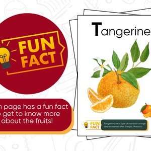 FREEBIE INSIDE Printable Alphabet Fruits Learning ABC With Fruits ...