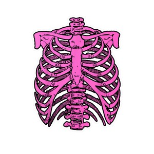 Halloween Pastel Pink Skeleton Rib Cage Sticker - Etsy