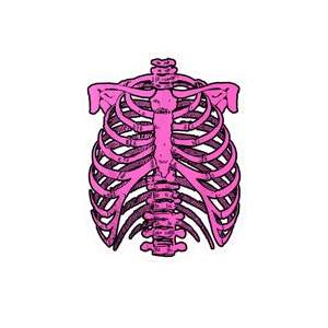Halloween Pastel Pink Skeleton Rib Cage Sticker - Etsy