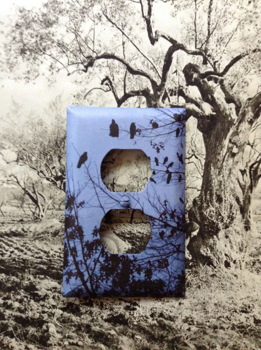 Decorative Outlet Cover, Electrical Wall Plate, Home Decor Switch Plate ...