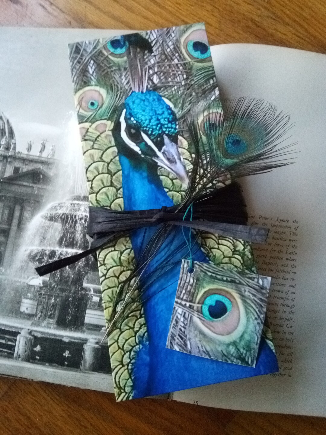 Peacock Gift Wrap Kit Blue Green Black Feather, Special Occasion Gift ...
