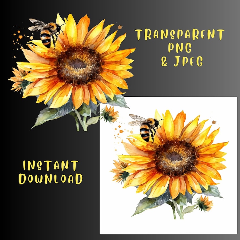 Watercolor Bee Sunflower Clipart PNG 16 Honey Bee Designs - Etsy