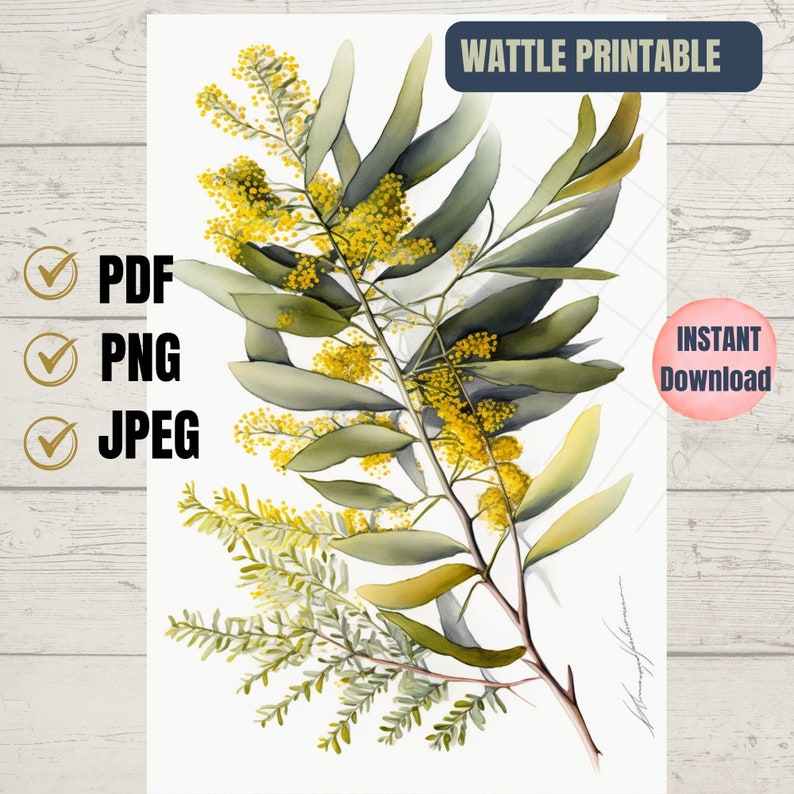 Abstract Wattle Flower Digital Print Wall Art Instant Download for Home ...