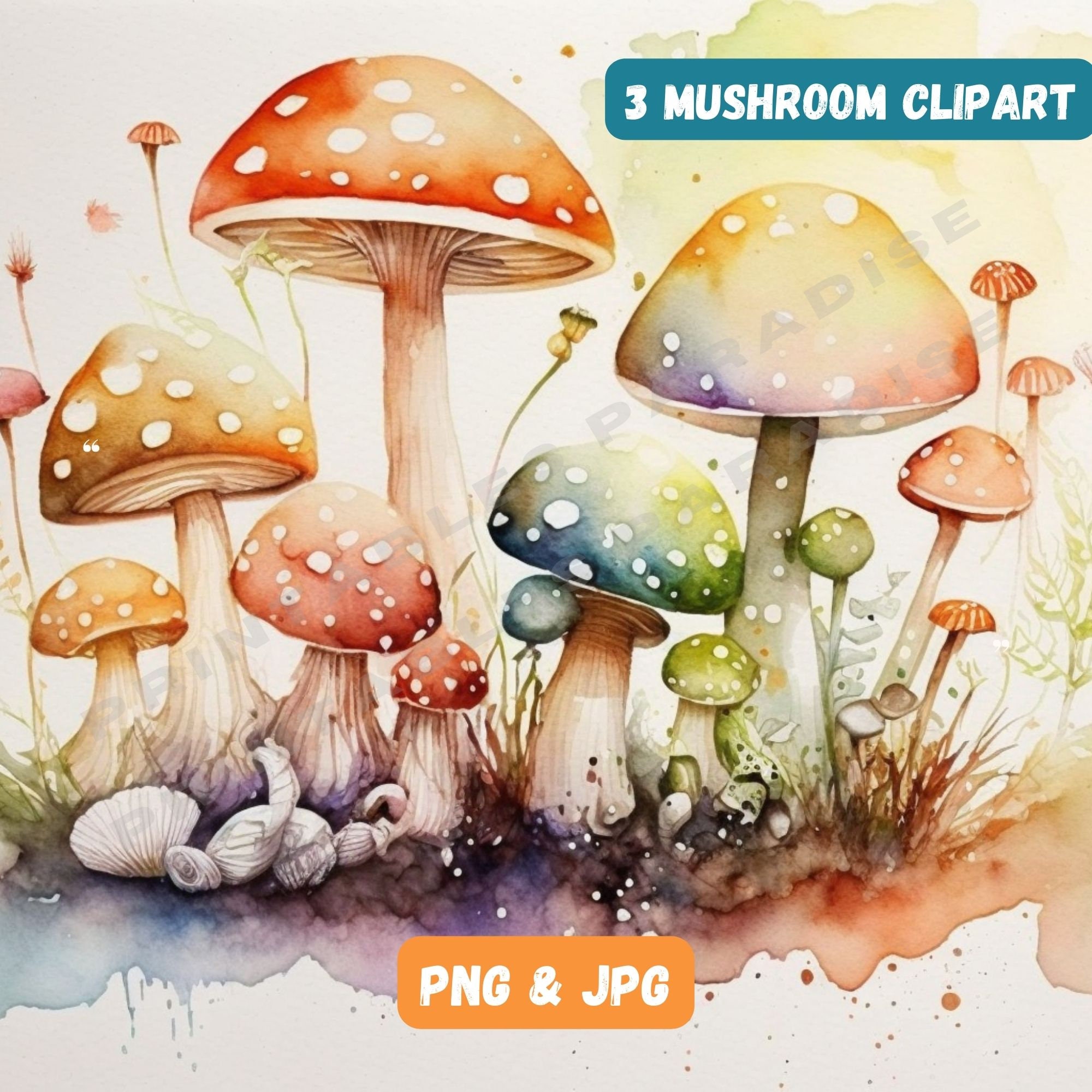 Mushrooms Watercolor Clipart Toadstool Clip Art PNG Instant Download ...