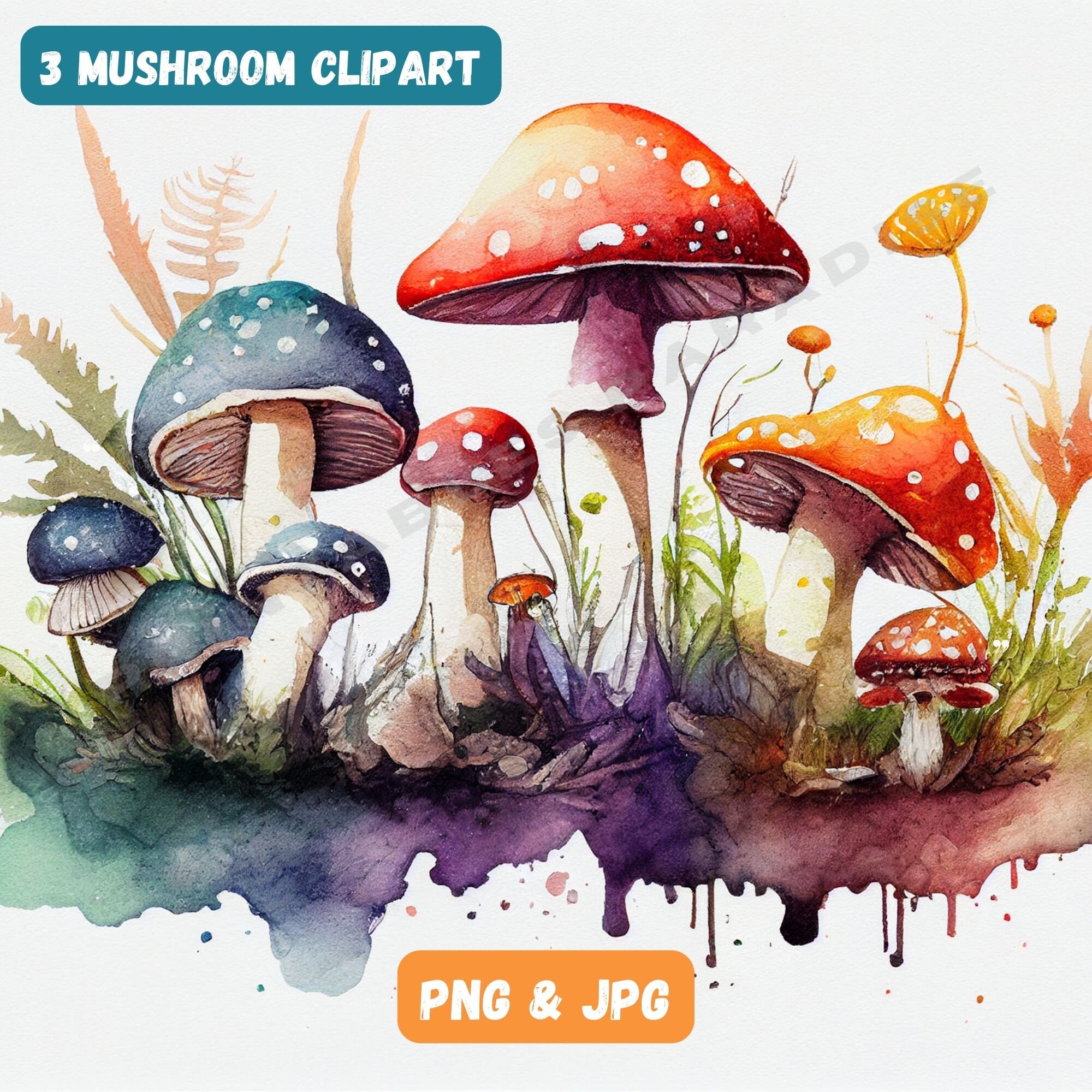 Mushrooms Watercolor Clipart Toadstool Clip Art PNG Instant - Etsy