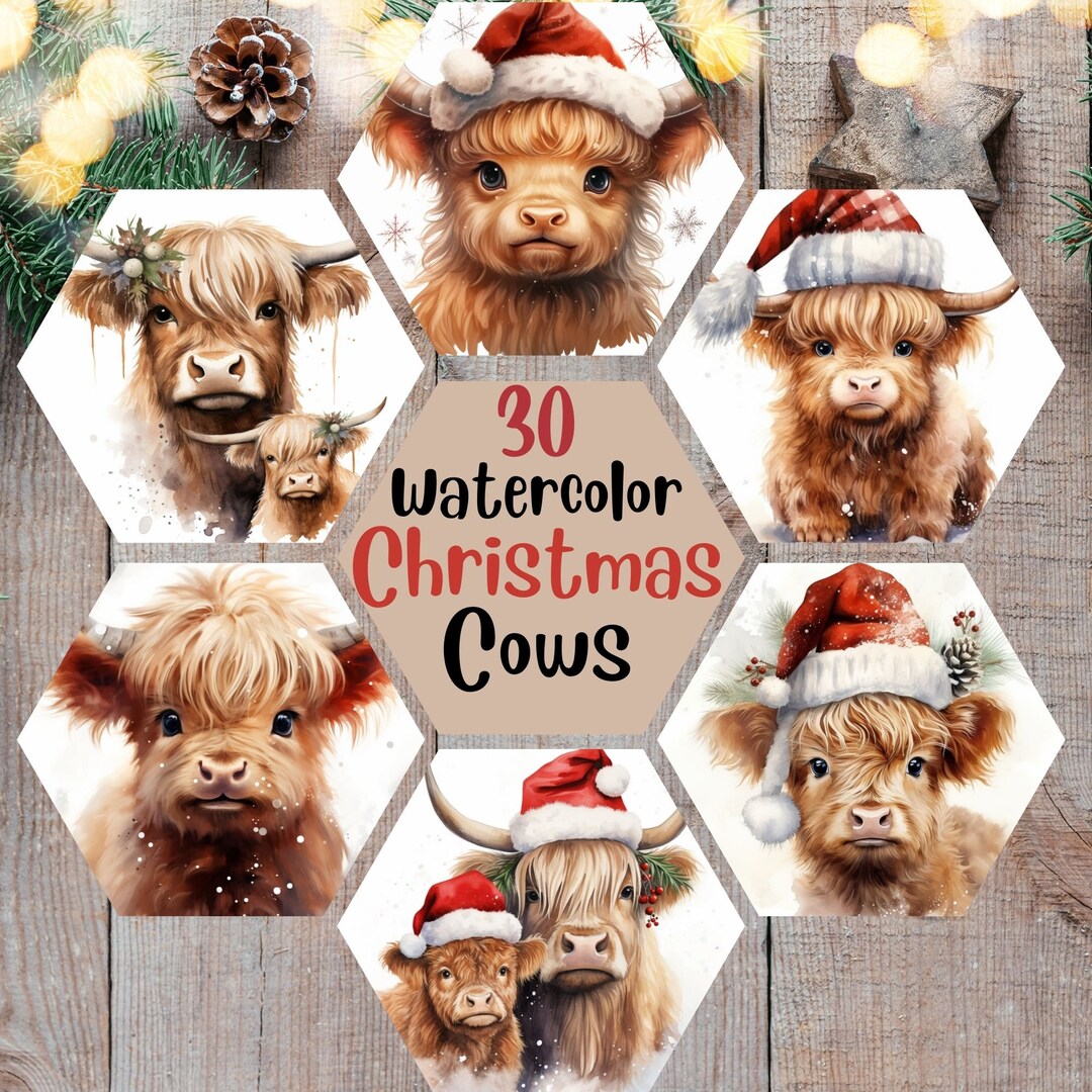 Christmas Watercolor Highland Cows Clipart Instant Download Highland ...