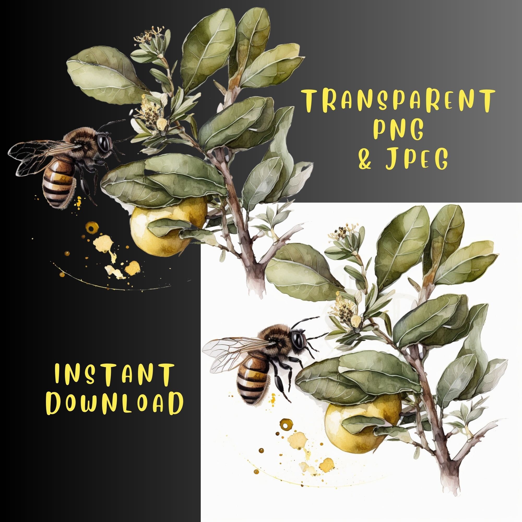 Watercolor Bee Sunflower Clipart PNG 16 Honey Bee Designs - Etsy