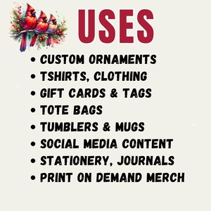 20 Christmas PNG Cardinal Bundle Digital Clipart Red Cardinals, Robins ...