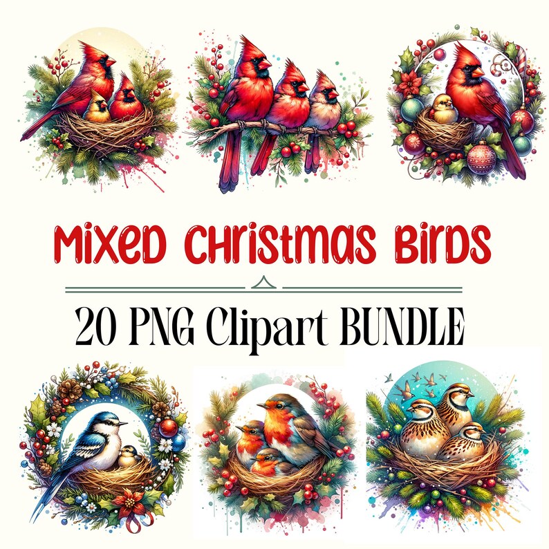 20 Christmas PNG Cardinal Bundle Digital Clipart Red Cardinals, Robins ...